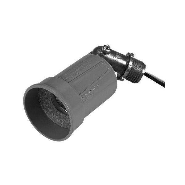 Appleton® WLI Finished Weatherproof Lamp Holder, 150 W | Agilix Solutions